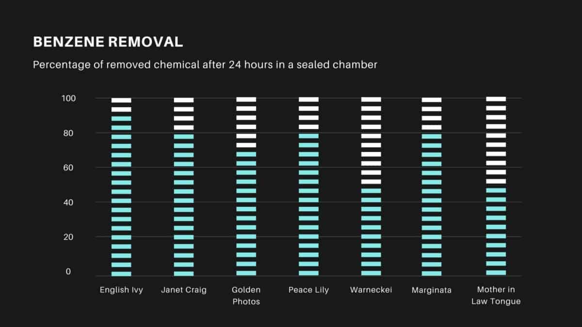 English Ivy (especially for benzene) Peace Lily (especially for ...